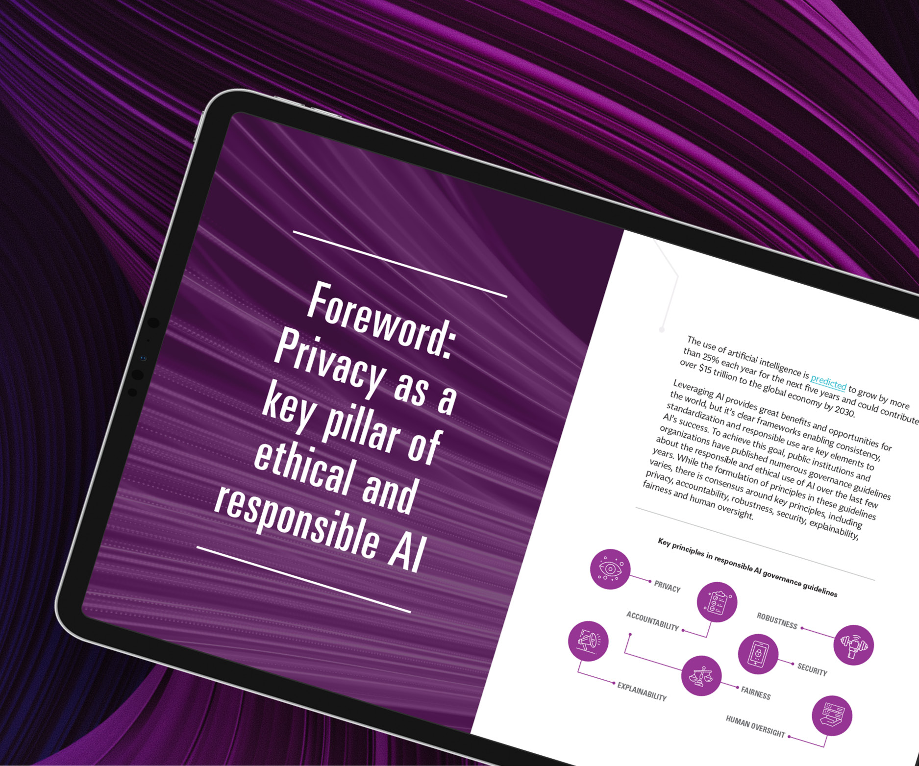 International Association of Privacy Professionals